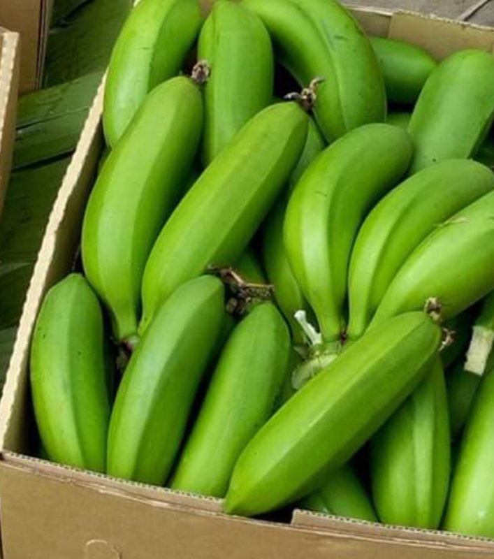 Fresh Matooke (Green Bananas) for sale in UAE - Ugandan Food in Dubai